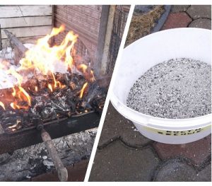 What is Ash in Dog Food? And Its Importance | DogLikesBest