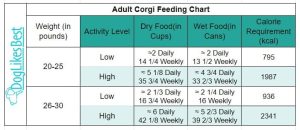 Corgi Feeding Chart – How Much to Feed a Corgi? | DogLikesBest