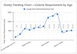Husky Feeding Chart – How Much to Feed a Husky? | DogLikesBest