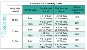 Poodle Feeding Chart – How Much to Feed a Poodle? | DogLikesBest
