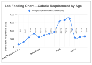 How Much Should a Lab Eat | Labrador Feeding Chart by Age | DogLikesBest
