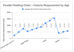 Poodle Feeding Chart – How Much to Feed a Poodle? | DogLikesBest