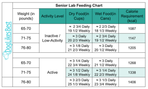 How Much Should a Lab Eat | Labrador Feeding Chart by Age | DogLikesBest