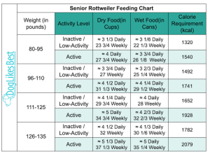 Rottweiler Feeding Chart – How Much to Feed? | DogLikesBest